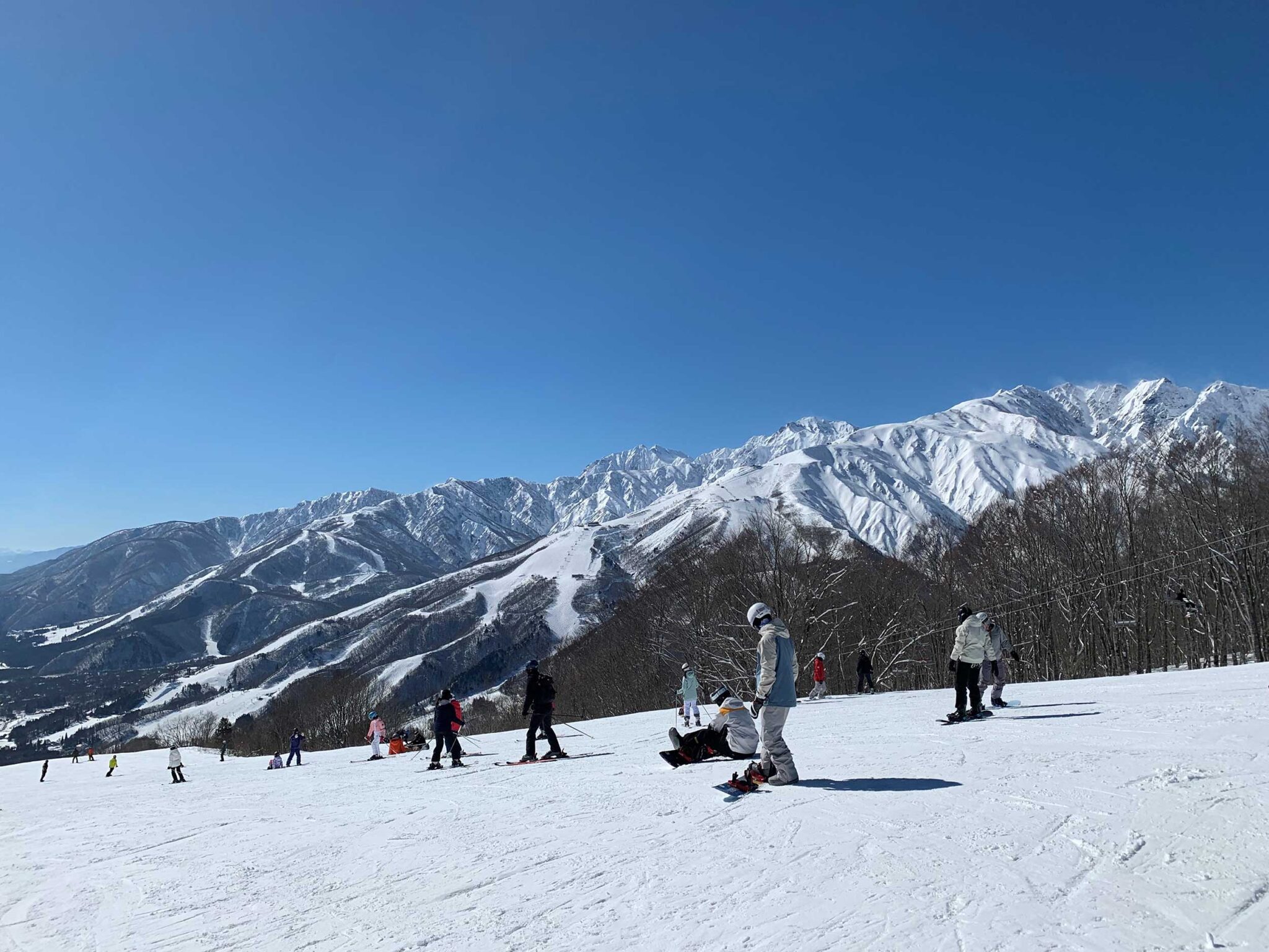Nagano Snow Shuttle – Central Japan's Largest Ski Shuttle Bus Operator